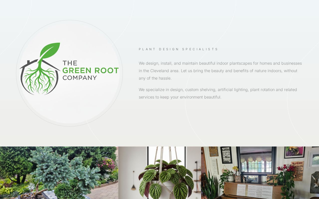 The Green Root Company | Indoor Plant Design & Care in Cleveland, OH